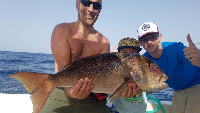 Offshore Fishing in Mallorca: Deep sea fishing in Alcudia, Mallorca