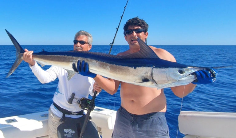 fishing in Mallorca: The best deep sea fishing, trips & charters in ...