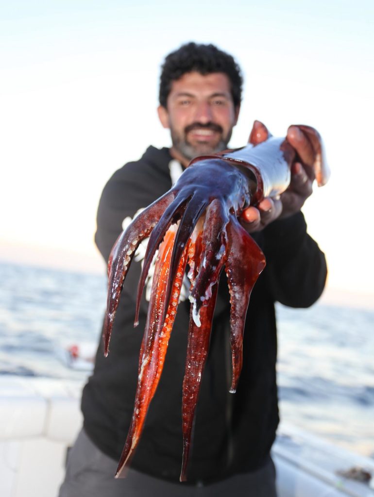 fishing in Mallorca: The best deep sea fishing, trips & charters in ...