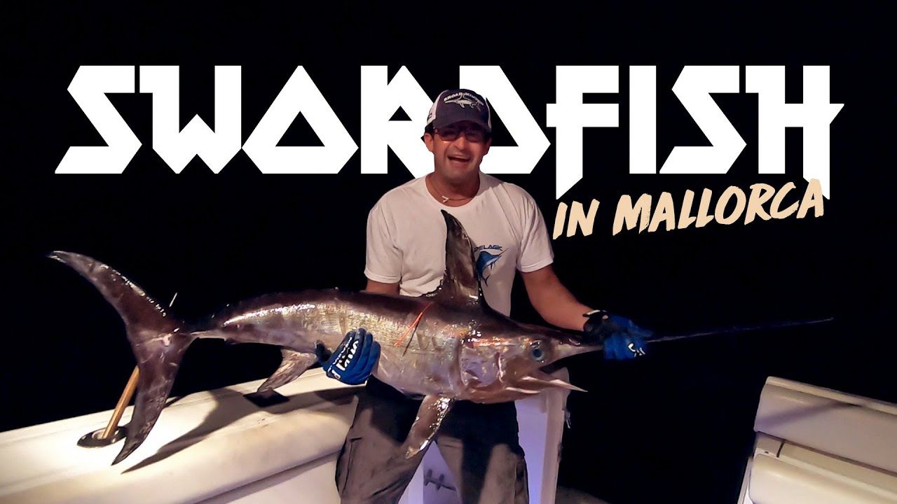 fishing in Mallorca: The best deep sea fishing, trips & charters in ...